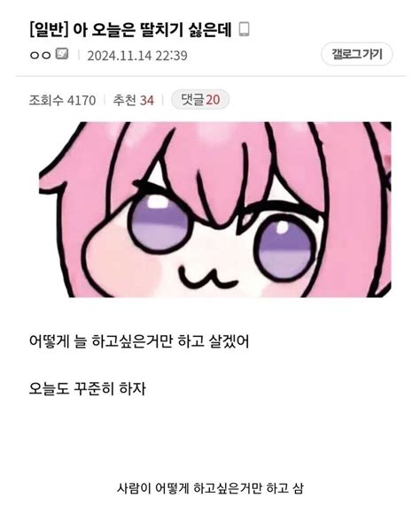딸치기 싫어도 치는 이유 유머움짤이슈 에펨코리아