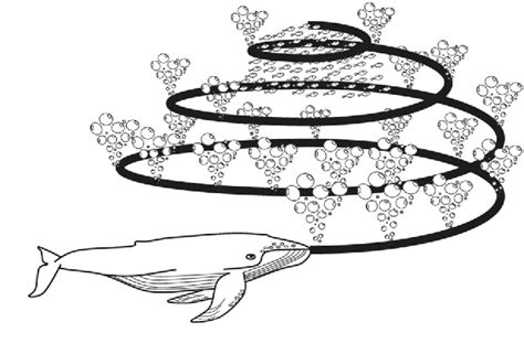Figure 2 From A Modified Whale Optimization Algorithm For Parameter