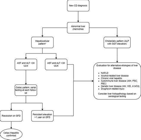 Clinical Algorithm For Workup Of Elevated Liver Chemistries In Patients