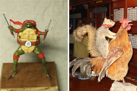 “bad Taxidermy” 35 Examples Of Taxidermy Thats So Horrific Its Funny