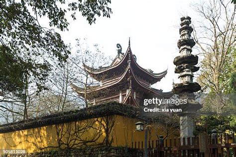 Dharani Photos And Premium High Res Pictures Getty Images