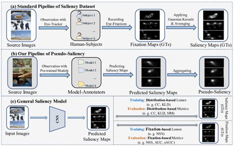 Pipelines Of Saliency Annotation And General Trainingtesting Of Download Scientific Diagram