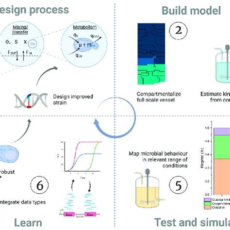 Graphical Summary Of The Design Build Test Learn Type Of Workflow Used Download Scientific