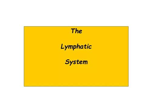 Ppt The Lymphatic System Powerpoint Presentation Free Download Id