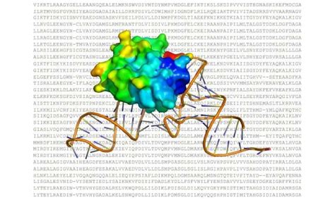 Open Source Ai Tool Aims To Accelerate Drug Discovery For Lifesaving Therapies Newsbreak