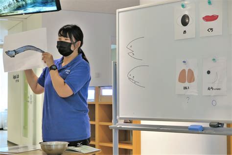 楽しいイワシの解剖と中村八百屋マリンピア日本海 鳥屋野水簾洞とやのすいれんどう鯉釣り情報サイト