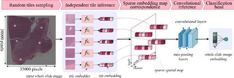 Figure 1 From SparseConvMIL Sparse Convolutional Context Aware