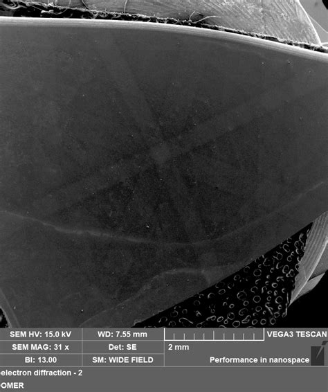 Why Do I See An EBSD Pattern In Regular Secondary Electron Detector Image ResearchGate