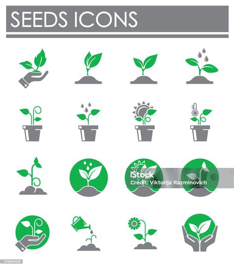 그래픽 및 웹 디자인에 대한 배경에 설정 된 시드 관련 아이콘 웹 또는 모바일 앱에 대한 창조적 인 일러스트 개념 기호입니다 나무에 대한 스톡 벡터 아트 및 기타 이미지