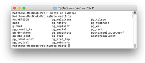 How To Kickstart Postgresql On Mac Os X Atlassian