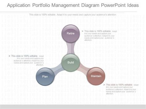 Application Portfolio Management Diagram Powerpoint Ideas