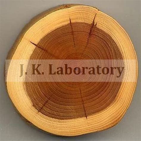 Modulus Of Elasticity Testing Services At 19900 Inr At Best Price In