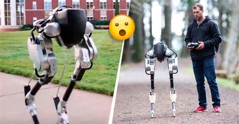 Cassie El Robot Que Podría Ser El Repartidor Del Futuro