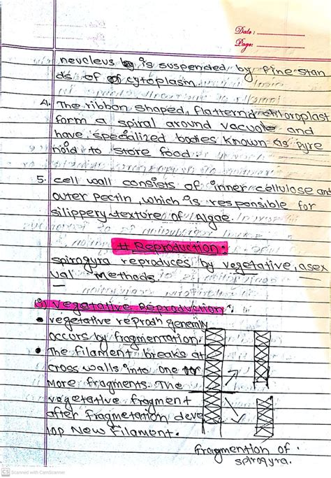Class 11 Botany Note For 11 And Isc Ag Your All Notes