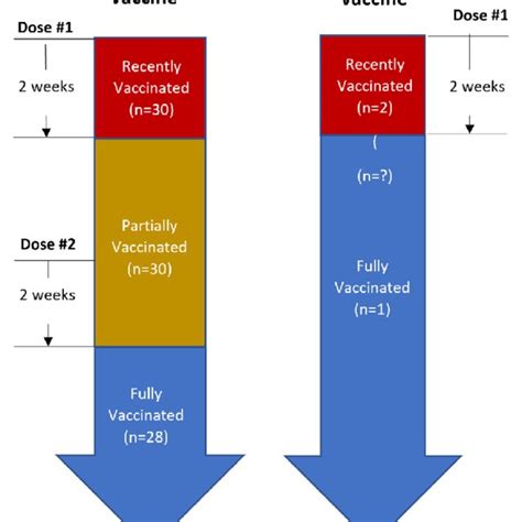 diagram showing classification of persons as recently partially or