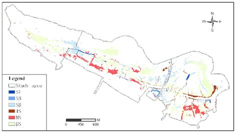 Spatial Distribution Features Of Plaques Transformation In The Download Scientific Diagram