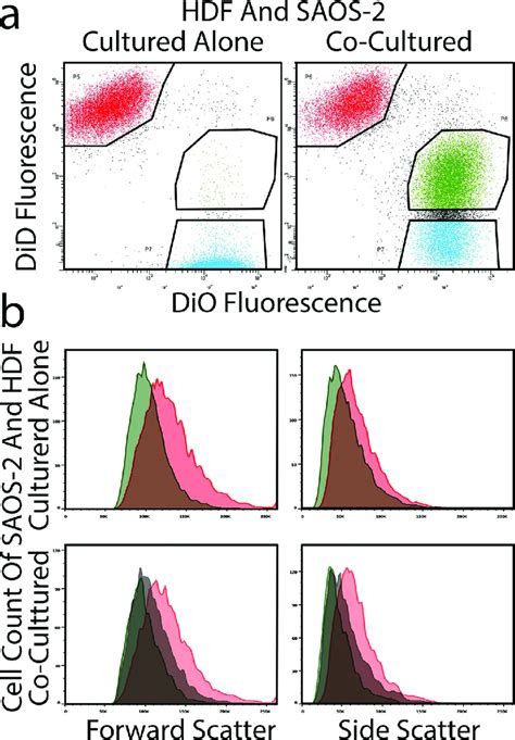 Cell Size And Internal Complexity Analyzed By Facs Facs Plots Are