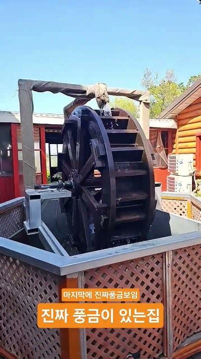 저렴하고 맛있고 풍금도 있고 여행중 이런집을 만나면 기분이 좋아진다 Youtube