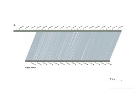 一个用python编写的序列比对可视化工具 Linkviewlinkview2 Csdn博客