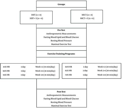 Exercise Training Program Download Scientific Diagram