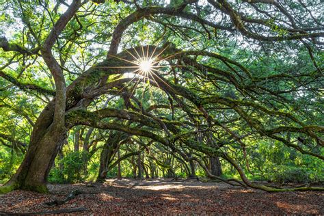 Florida Wildlife Federation