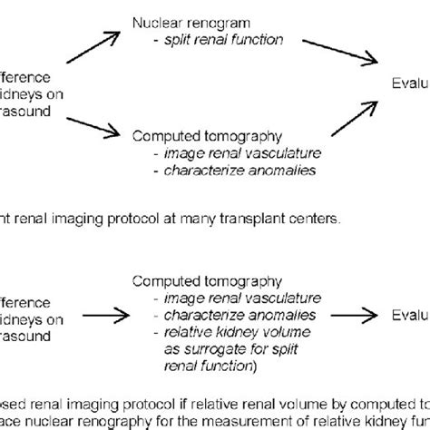 Improving The Efficiency Of The Evaluation The Use Of Split Renal