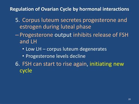 Ppt Female R Eproductive Physiology And Menstrual Cycle Powerpoint