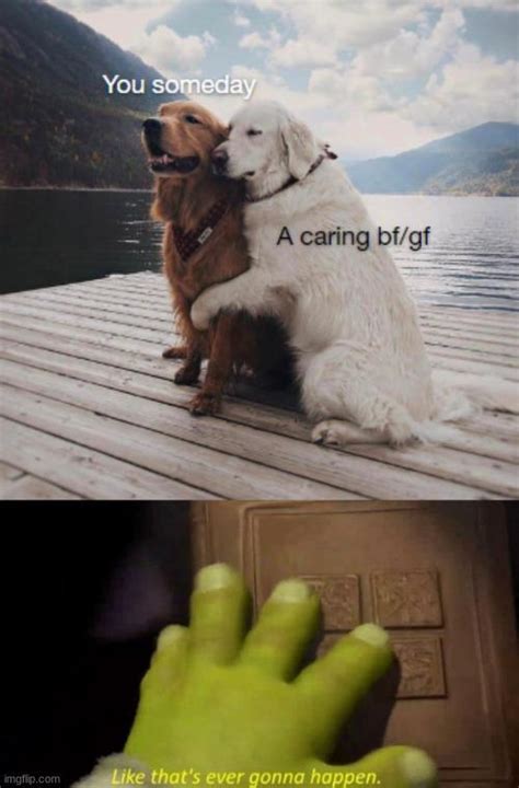 What Is Relationship R Dankmemes Like That S Ever Gonna Happen