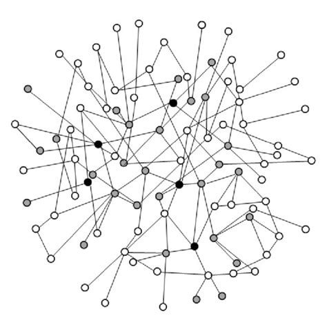 A Scale Free Infrastructure Network Download Scientific Diagram