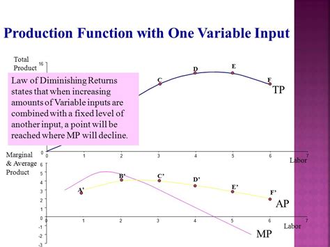 refer to the diagram if labor is the only variable input the marginal