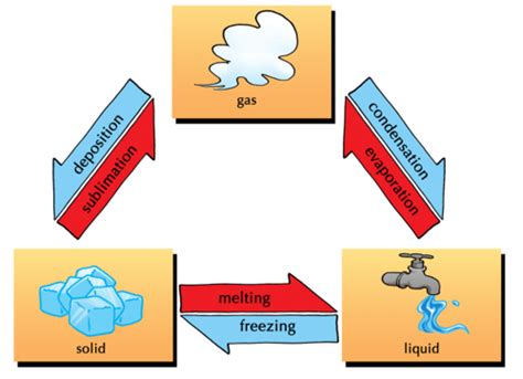 6 1 What Is The Particle Model Of Matter Particle Model Of Matter Siyavula