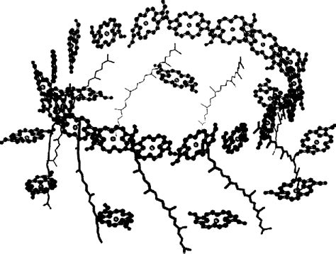 Figure 1 From How Carotenoids Protect Bacterial Photosynthesis
