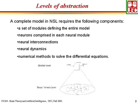 Neural Simulation Language Nsl Cs 564 Brain Theory