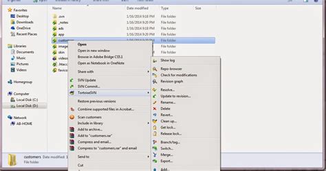 Reviews By Aaron Tortoise SVN CollabNet Subversion Edge A Great