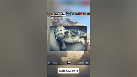 Cs2 Deko Core Youtube