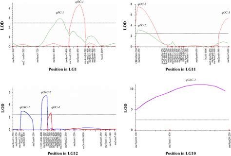 Scanning Results Of Qtl Icimapping For Seed Oil Protein Oleic Acid