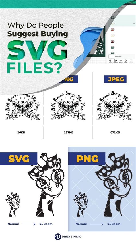 Why Should You Buy Svgs