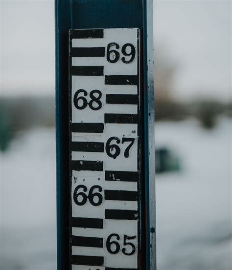 10 Scale Free Images