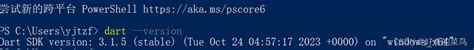 dart开发环境搭建 windows dart sdk下载 csdn博客