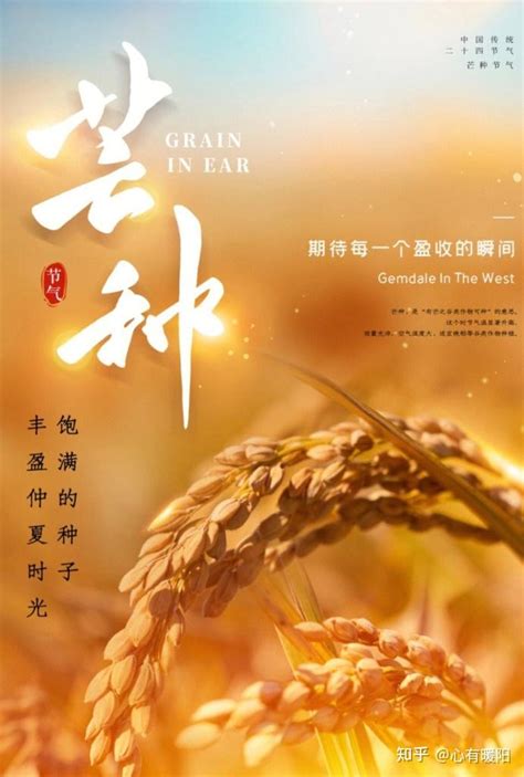 芒种节气文案祝福语经典简短温馨唯美问候短句 知乎