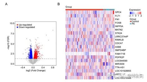 加上实验立刻上 知乎