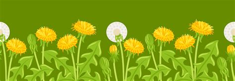 생생한 노란색 꽃잎과 푹신한 씨앗 머리가 있는 기발한 민들레를 특징으로 하는 매끄러운 테두리 디자인 이 유쾌한 일러스트레이션은 자연의 본질을 포착하여 다양한 창의적인