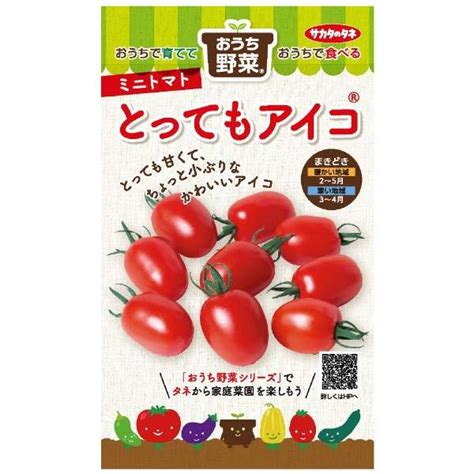 実咲 おうち野菜 ミニトマト とってもアイコ 実咲 サカタのタネ｜sakata Seed Corporation 通販 ビックカメラcom