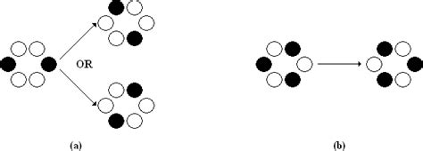 Performing A Simulation With The Fhp Model By Openstax Page 23