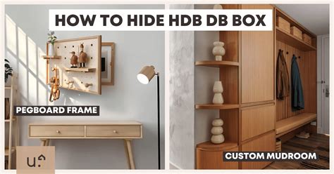 Easy Clever HDB BTO DB Box Concealment Ideas