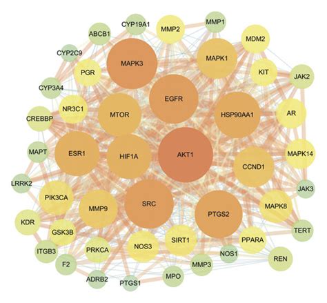 The Protein Protein Interaction Network Of The Crucial Gene Clusters Download Scientific