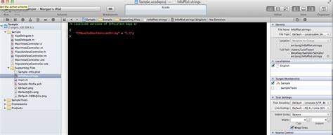 Objective C Difference Between Xcode Version Cfbundleshortversionstring And Build