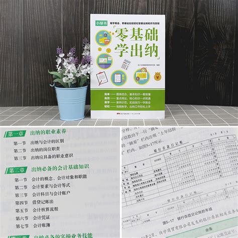 【出版社自营】出纳实务做账教程零基础学出纳书籍财务实务会计入门自学书基础知识教材学习企业纳税申报表分析手册初级2023虎窝淘