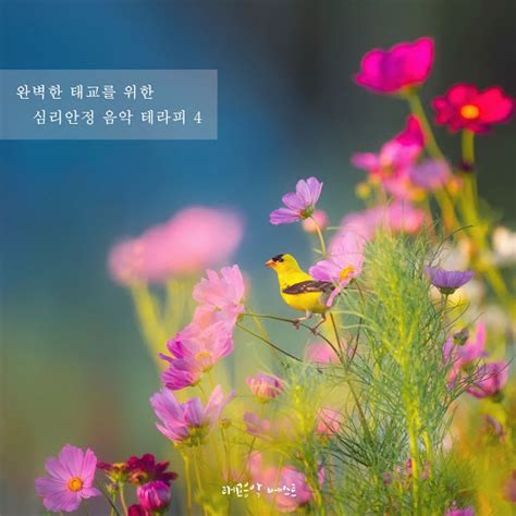 아기가 좋아하는 자장가 Youtube Music