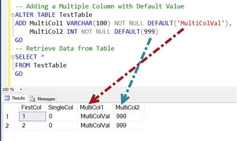 Sql Server How To Add Multiple New Columns To Table With Default Values Sql Authority With